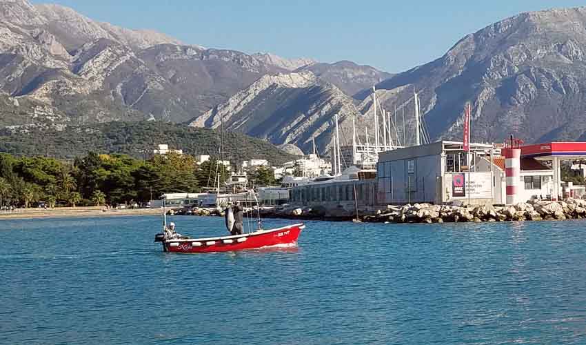 Jedro | Bar, Crna Gora - Ulov za respekt